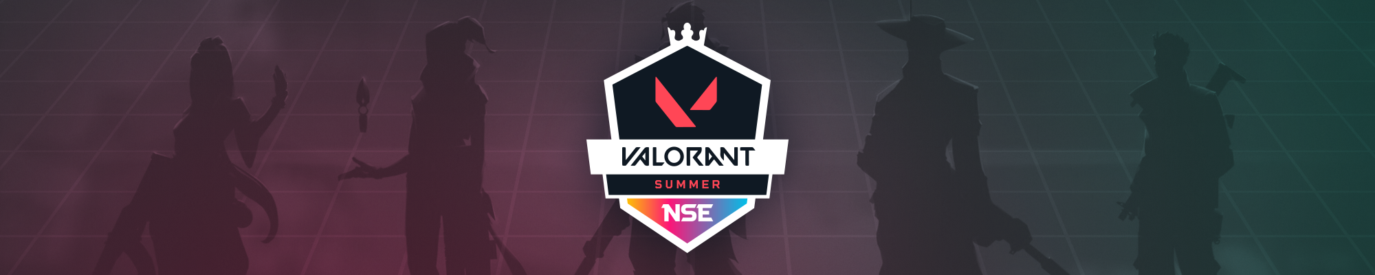 Valorant Summer Cup | National Student Esports